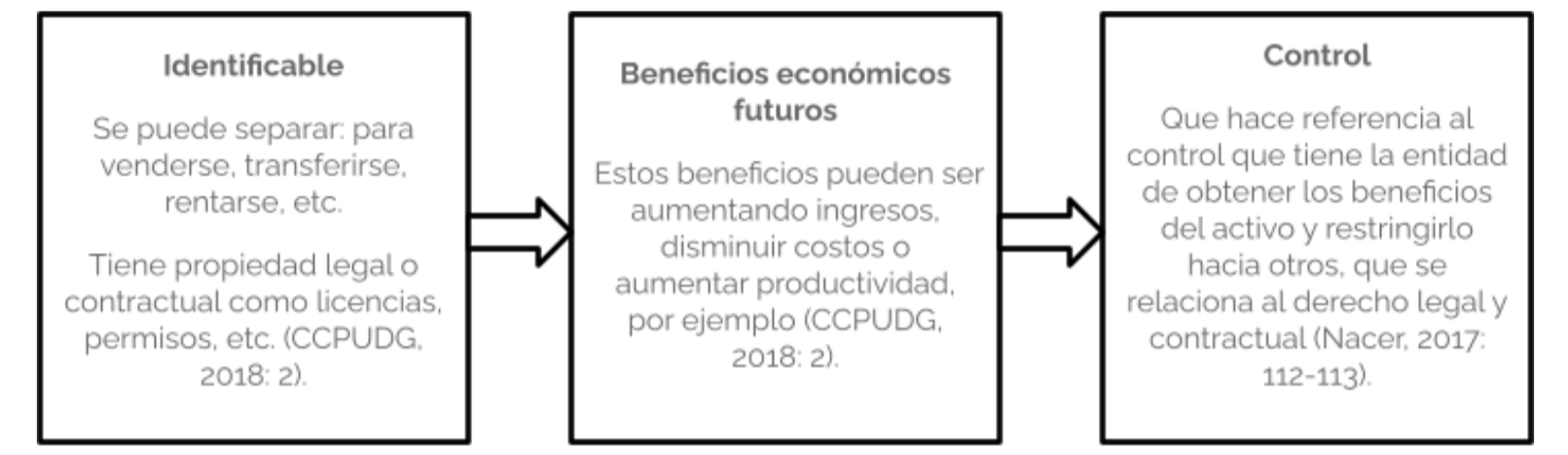 Clase digital 7. Manejo contable de activos intangibles, NIF C-8 ...