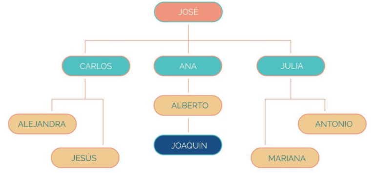 Clase digital 12. Parentesco - Licenciatura en Derecho