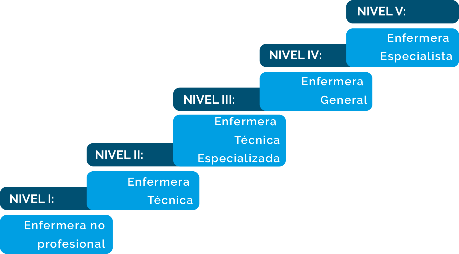 Unidad Didáctica 3 Perfiles De Enfermería En México Contenidos