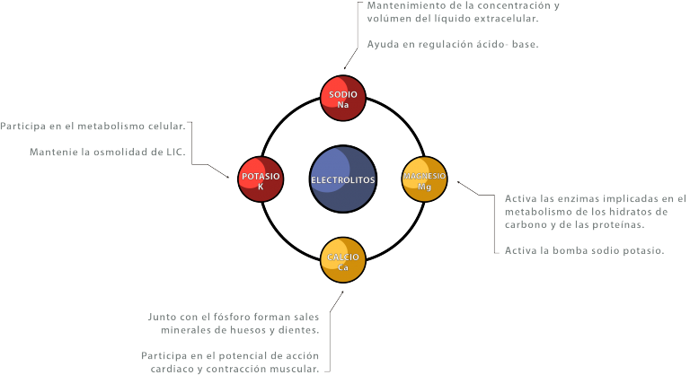Unidad didáctica 7: Cuidados de enfermería a la persona para favorecer ...