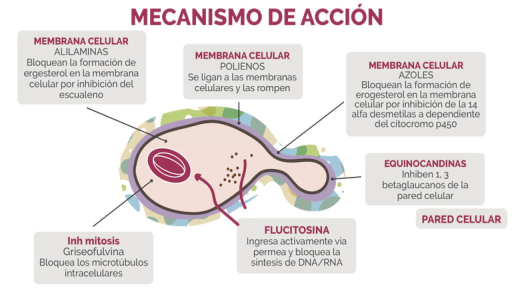 Unidad didáctica 5F: Farmacología especial - Licenciatura en Enfermería ...