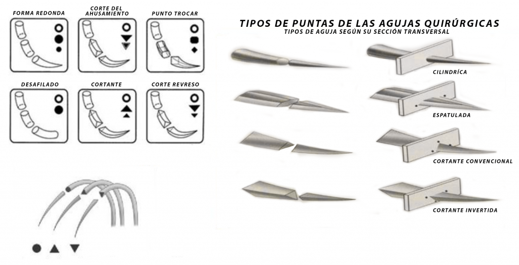 Unidad didáctica 3: Funciones y responsabilidades del personal de ...