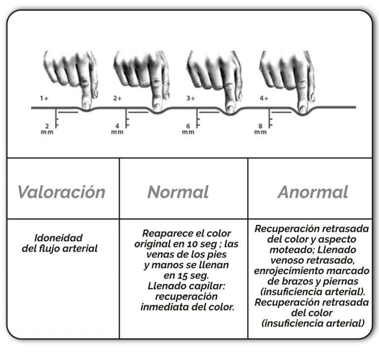 Unidad didáctica 5: Atención de enfermería a pacientes con afecciones ...
