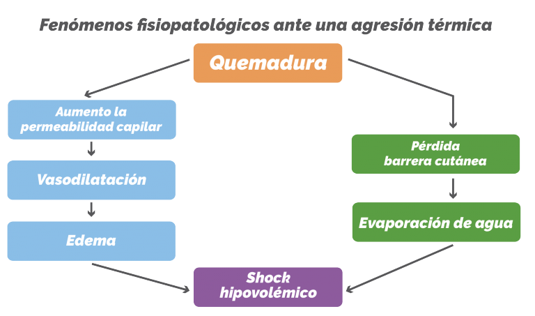 Unidad didáctica 3.11: Proceso patológico en el adulto (Afecciones ...