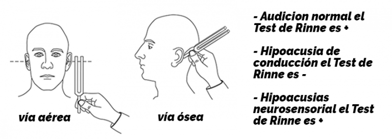 Unidad didáctica 3: Crecimiento y dearrollo del niño y del adolescente ...