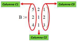 Clase digital 3: Componentes de una matriz y tipos de matrices ...