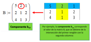 Clase digital 3: Componentes de una matriz y tipos de matrices ...