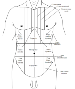 Clase digital 2. Términos anatómicos - Recursos Educativos Abiertos