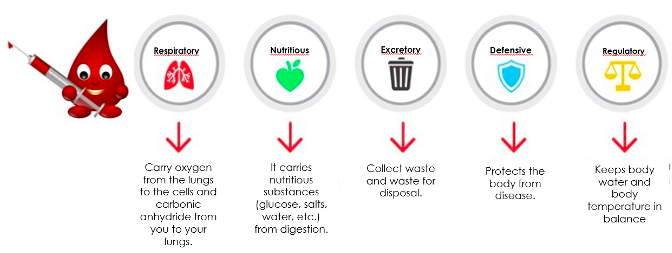 Clase digital 1. Basic introduction to hematology - Recursos Educativos ...
