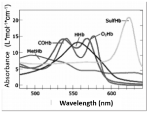 Clase digital 4. Complete blood cell count - Recursos Educativos Abiertos
