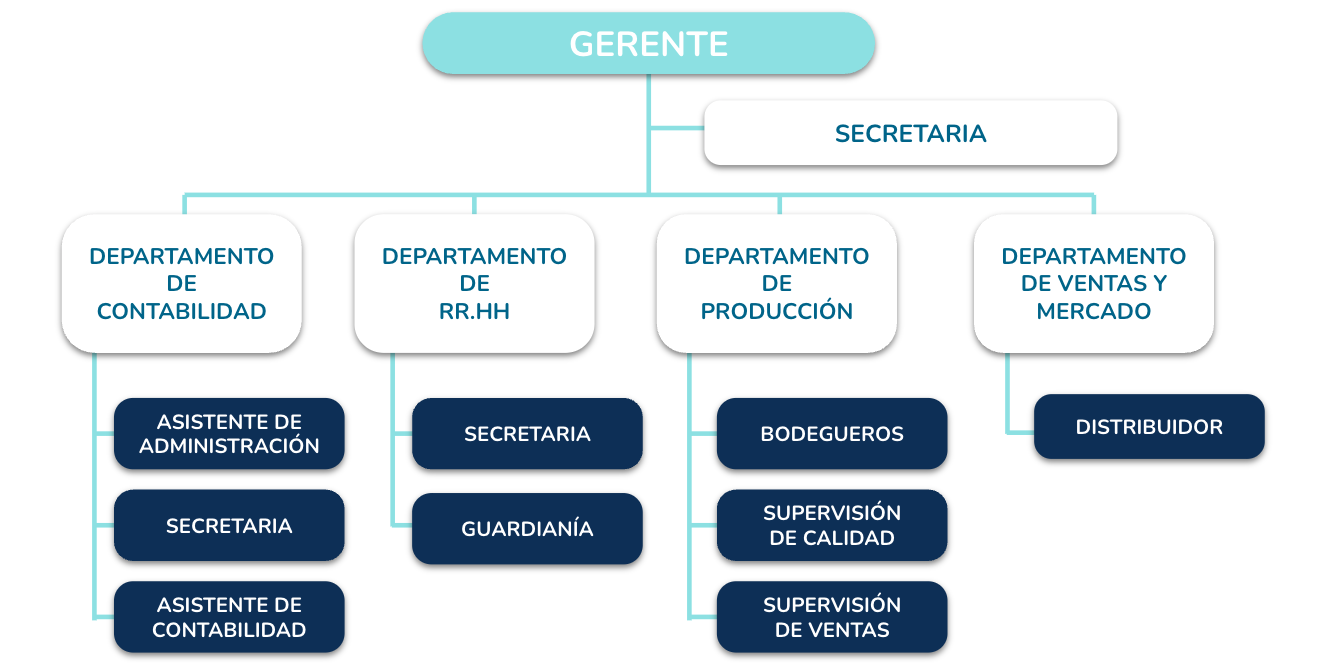 Clase digital 5. Organización - Recursos Educativos Abiertos