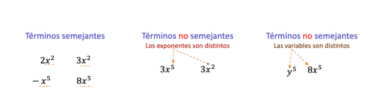 Clase digital 4. Operaciones algebraicas básicas: Suma, resta, multiplicación y división ...