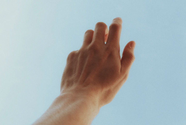 Clase digital 2. Anatomía de la mano y anatomía patológica de la mano ...