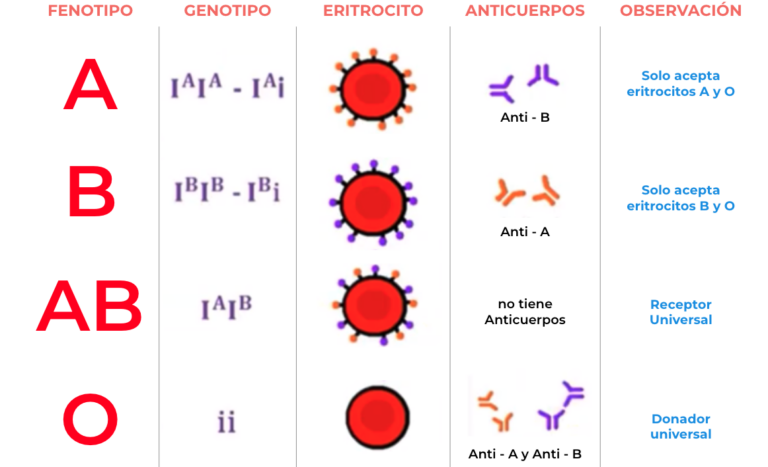 Clase digital 4. Leyes de herencia no mendeliana: dominancia incompleta ...