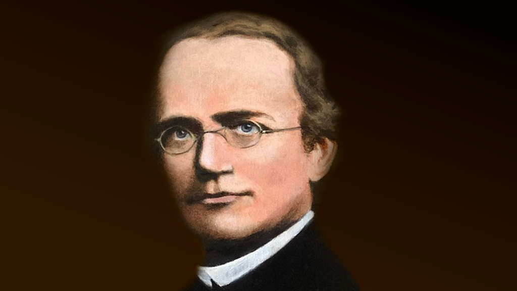 Clase digital 1. Primera ley de Mendel: “Principio de uniformidad ...