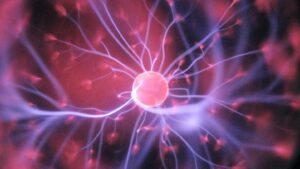 Clase digital 5. Tejido nervioso - Recursos Educativos Abiertos