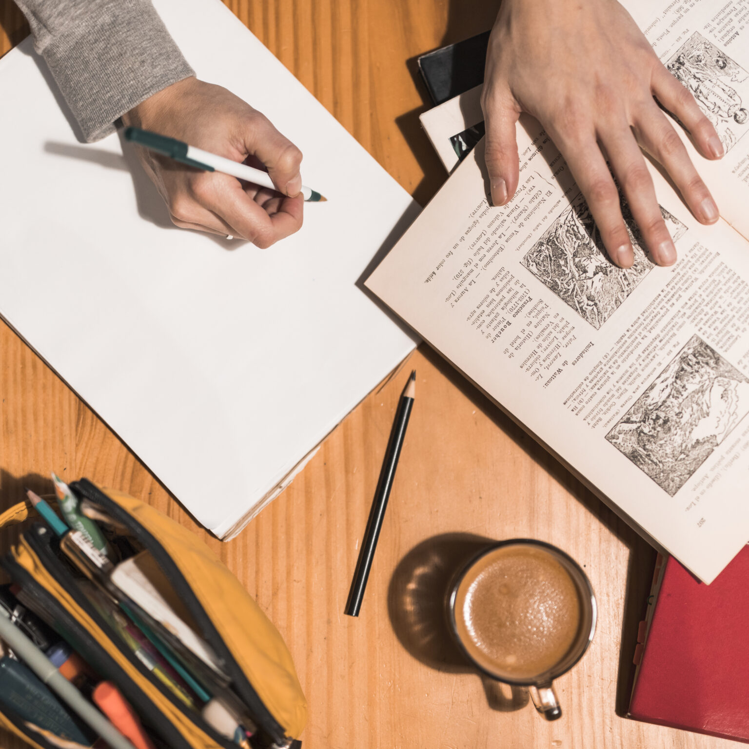 Guía didáctica Taller de lectura y escritura básico - Recursos Educativos Abiertos