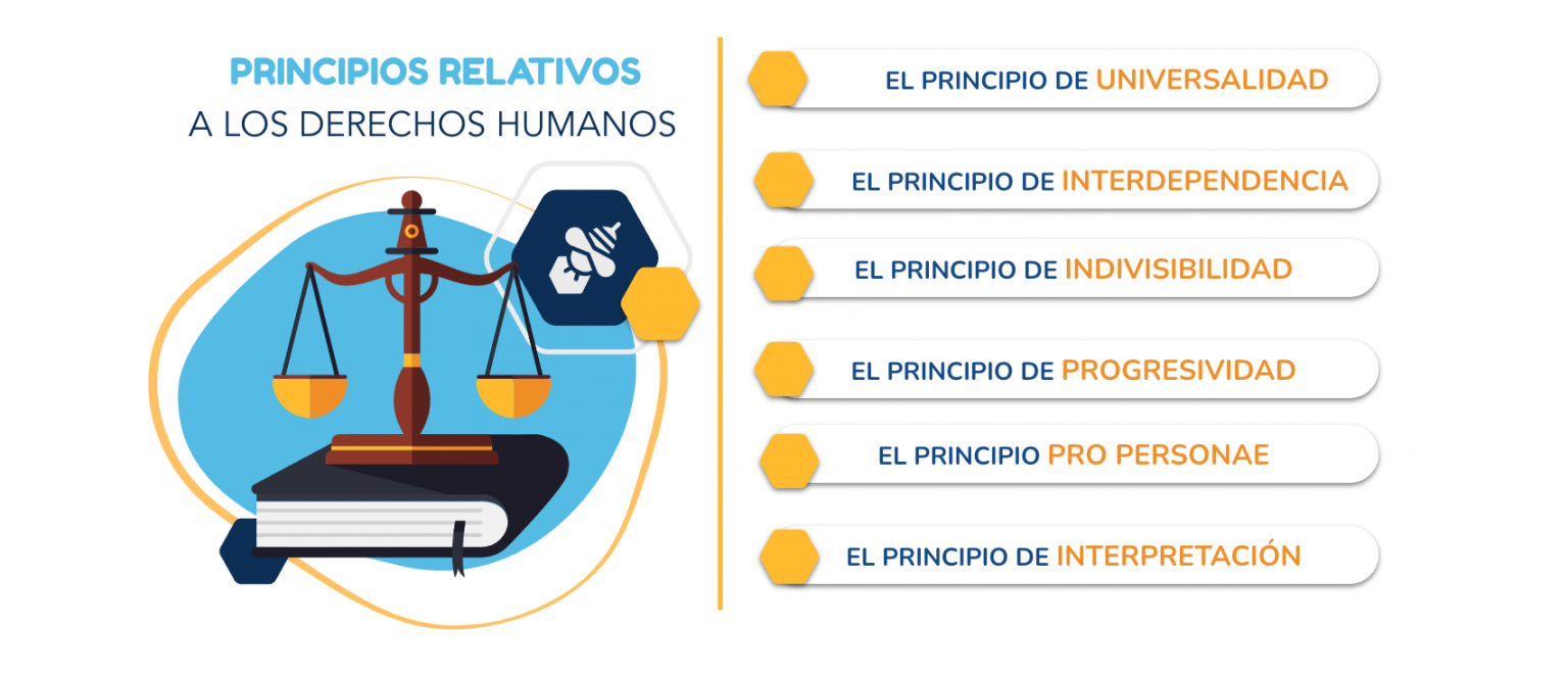 Clase digital 2. Derechos Humanos: Principios y Normas - Recursos ...